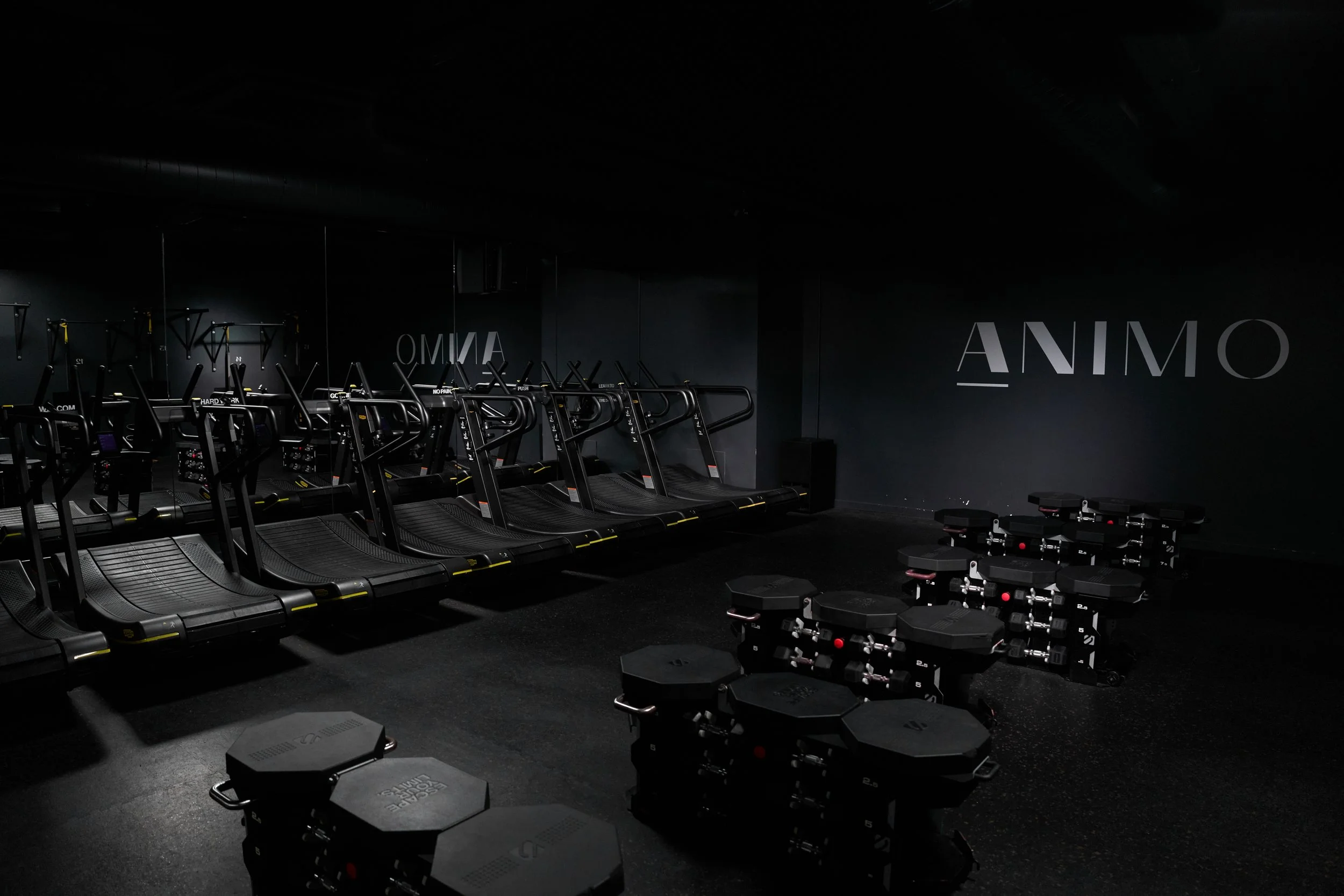 The Studio — ANIMO Studios