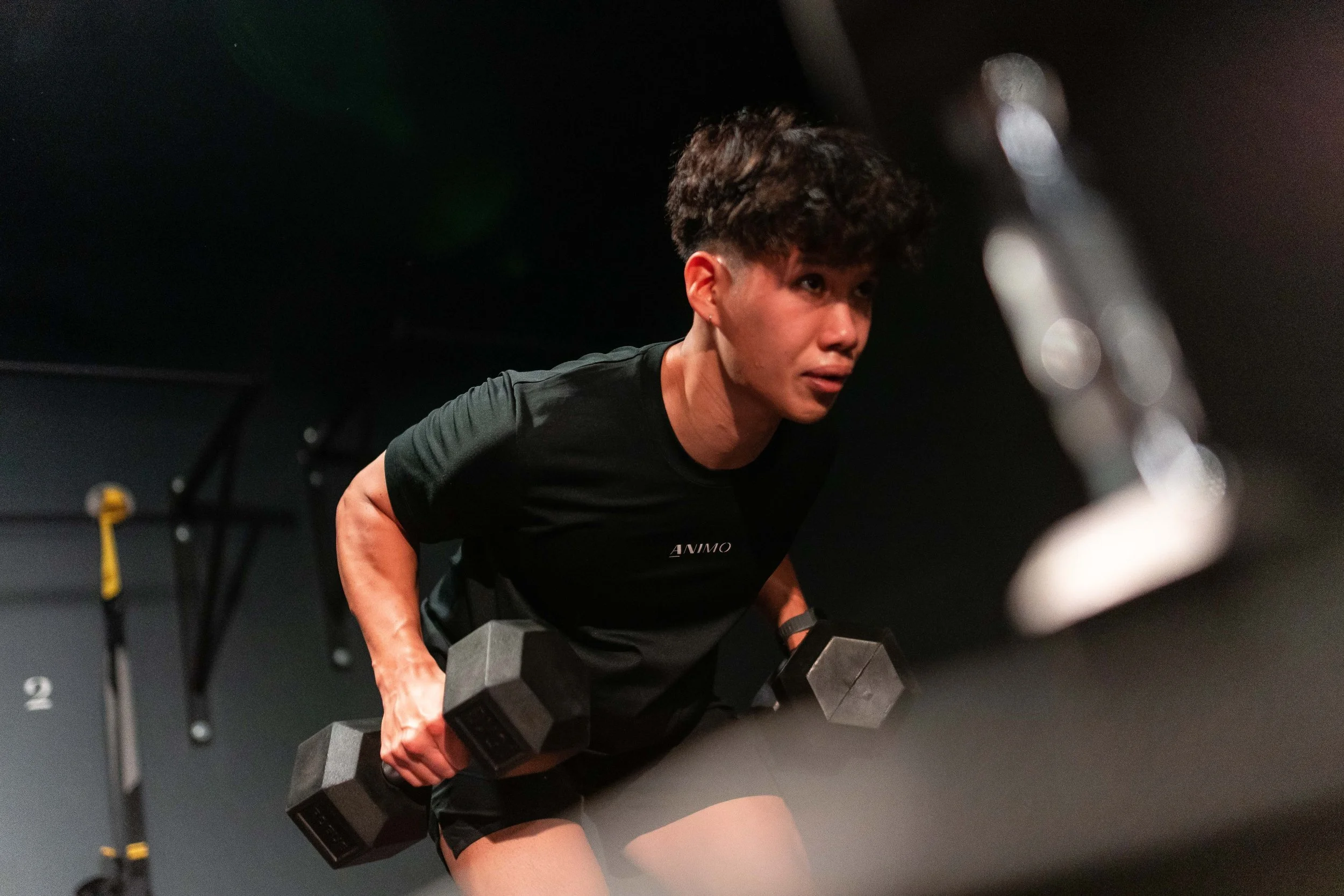 TRAIN — ANIMO Studios