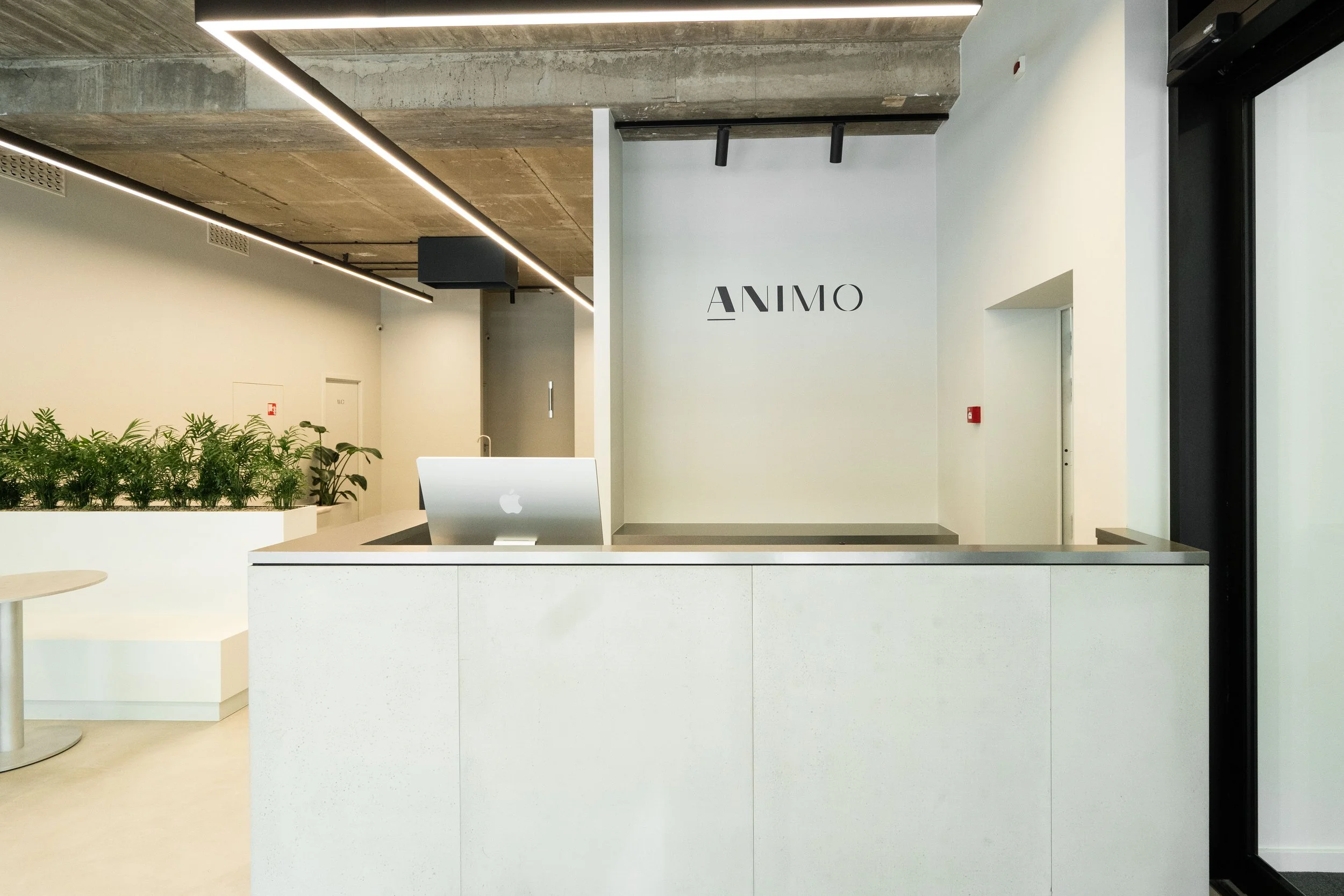 The Studio — ANIMO Studios