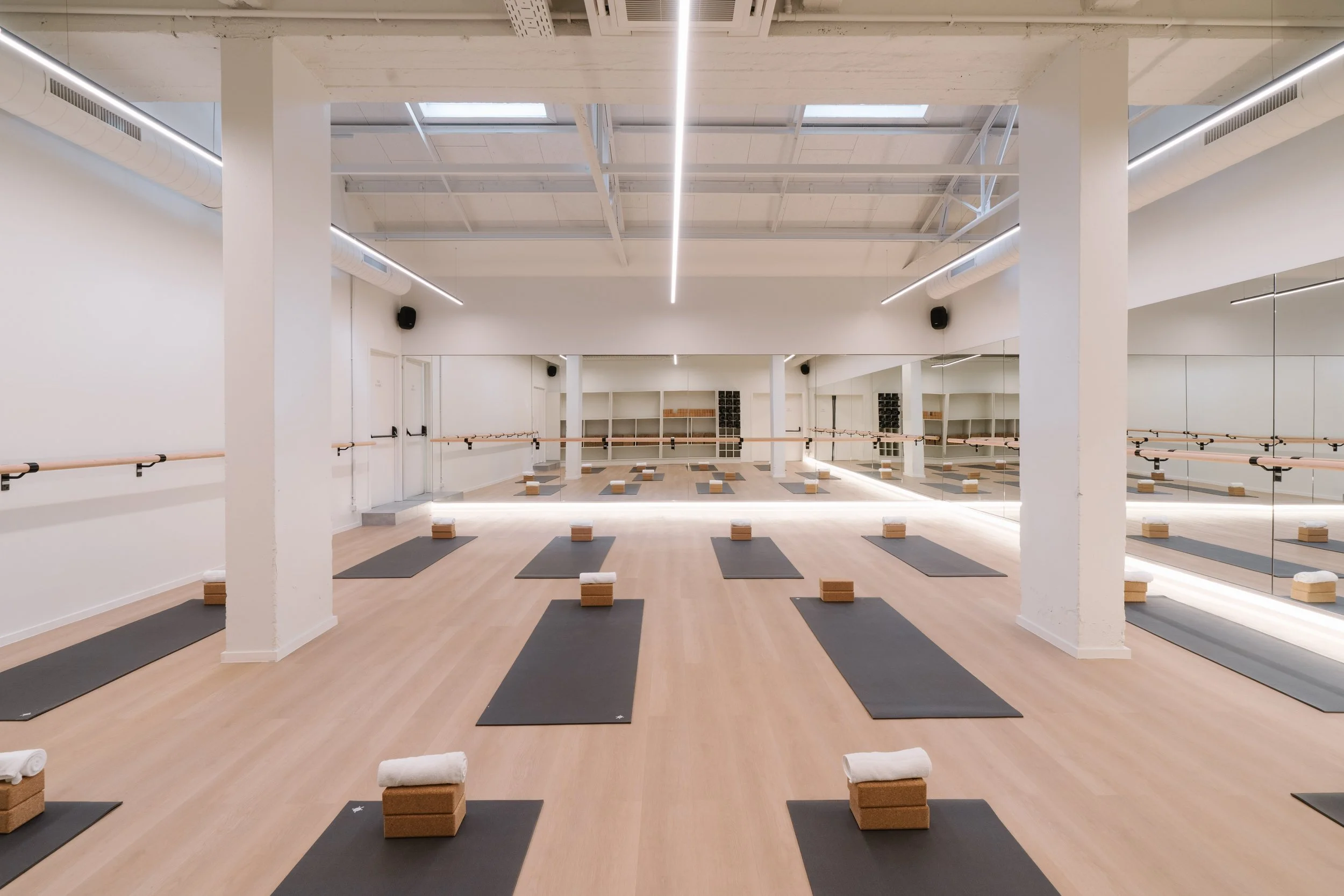 The Studio — ANIMO Studios