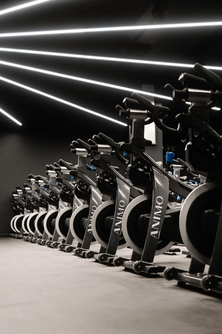 The Studio — ANIMO Studios