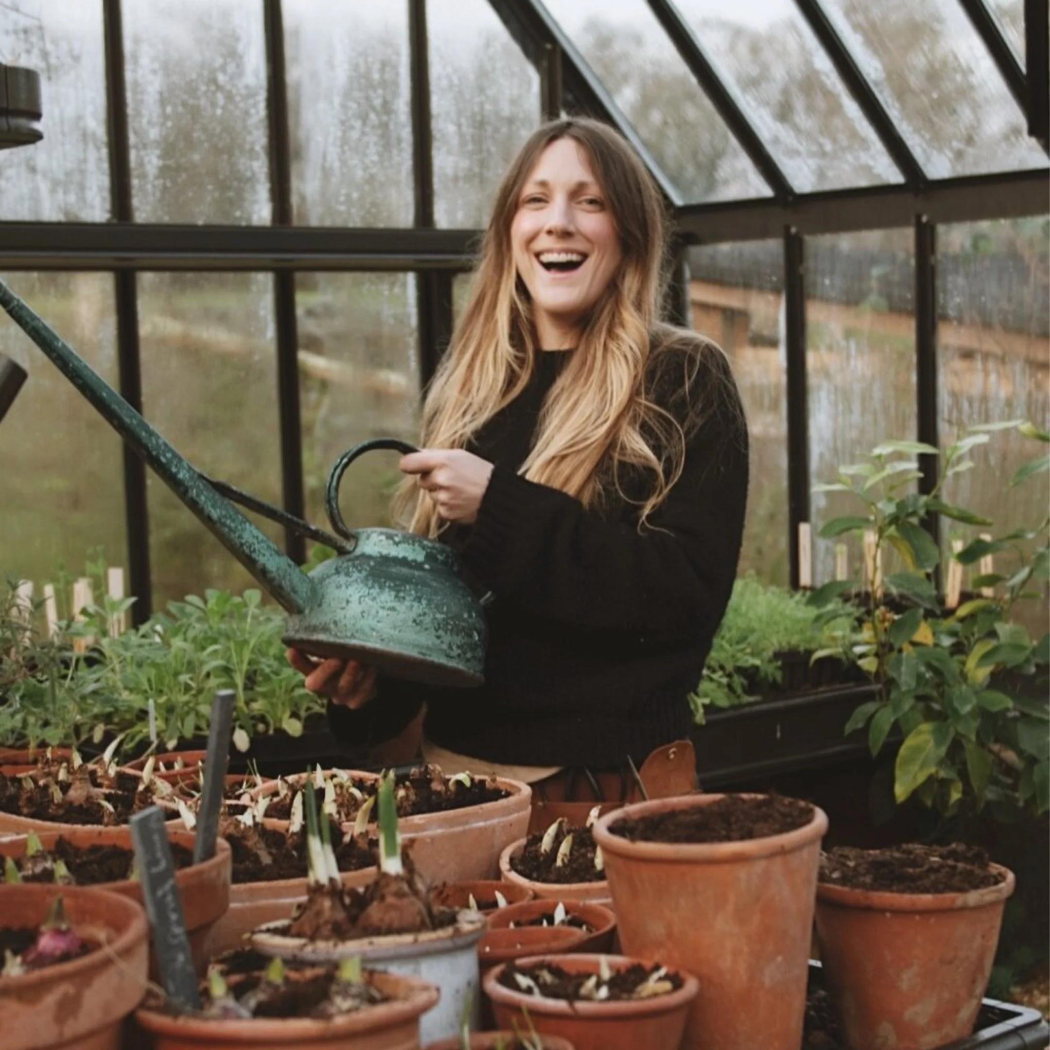 Blog — Persephone Social