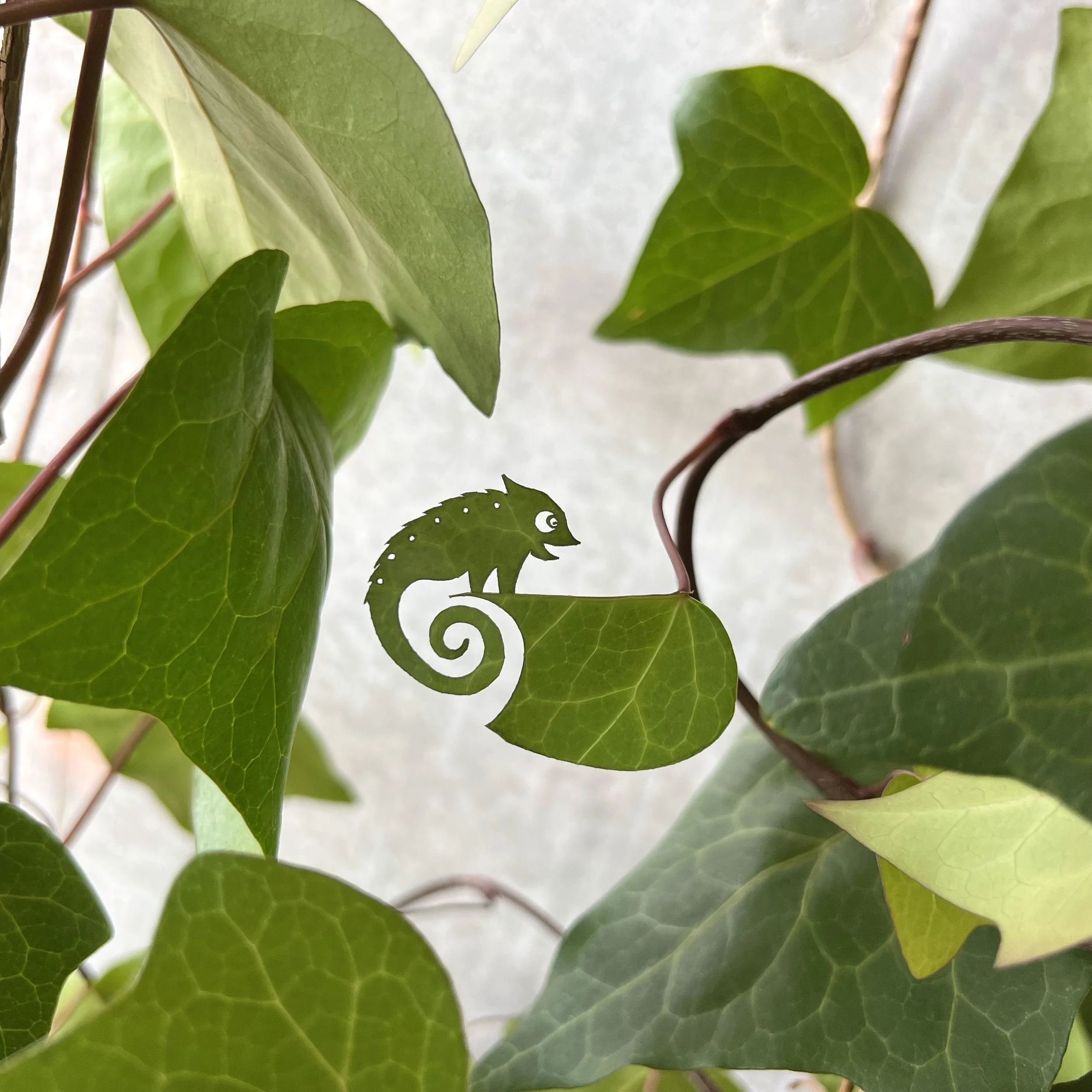 Blog — Persephone Social