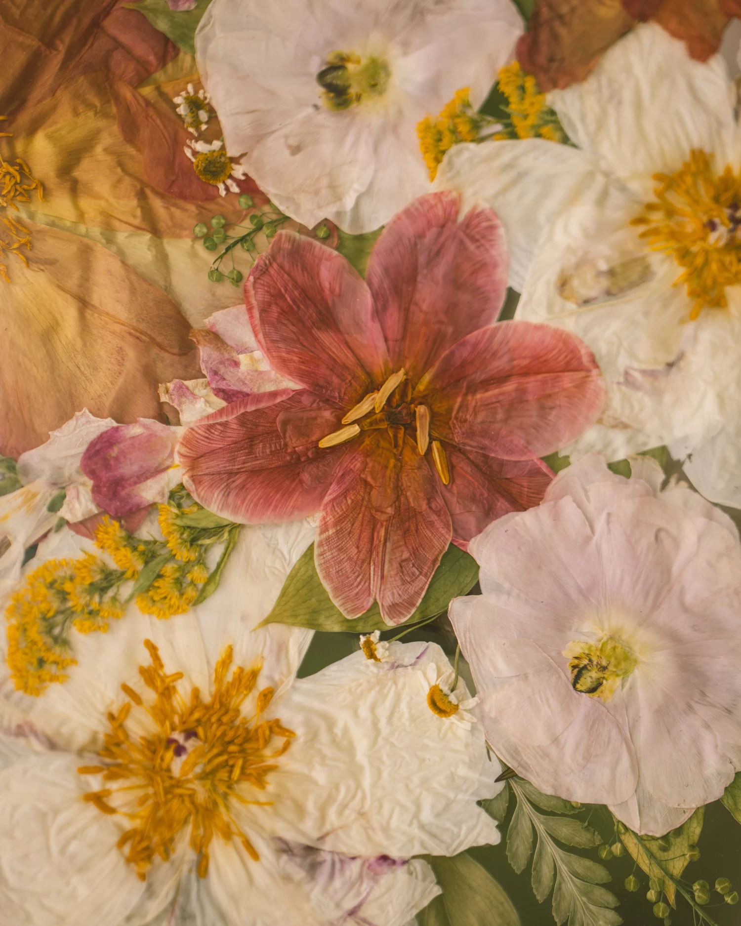 Blog — Persephone Social