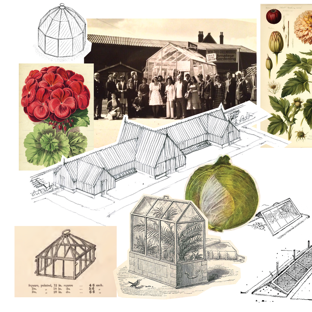Blog — Persephone Social