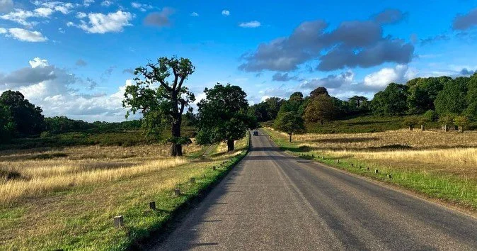 Alex Stott - Strength and Conditioning Coach