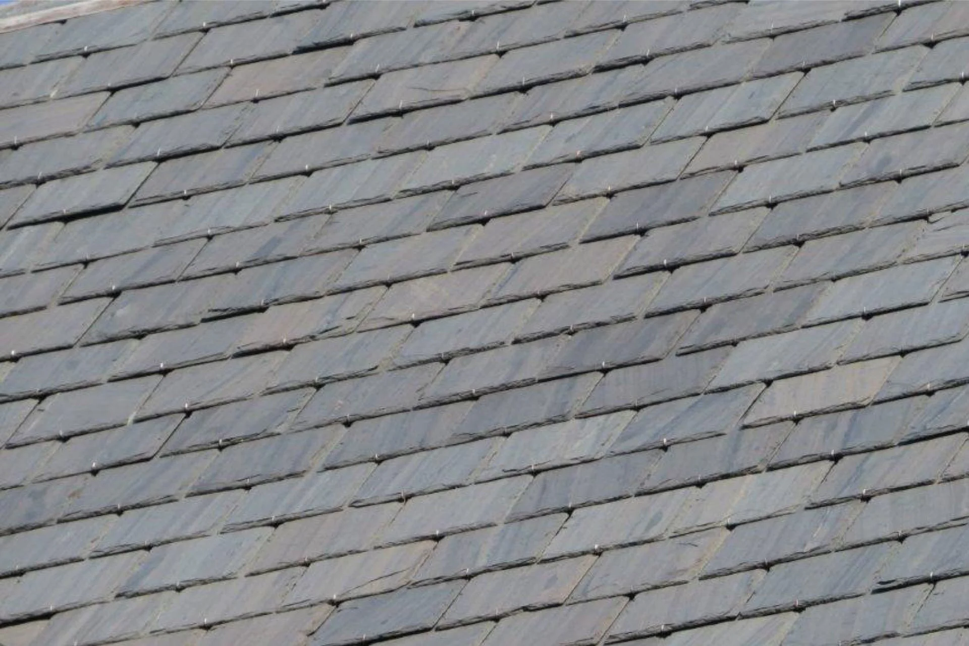 General 1 — Roof Monkeys