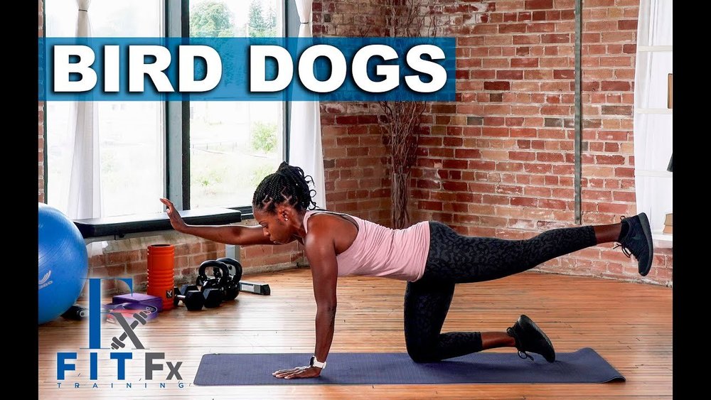 What Muscles Do Bird Dogs Work