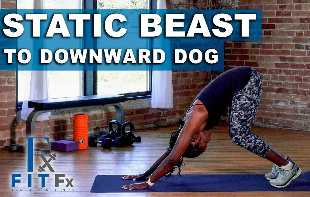 STATIC BEAST DOWNWARD DOG
