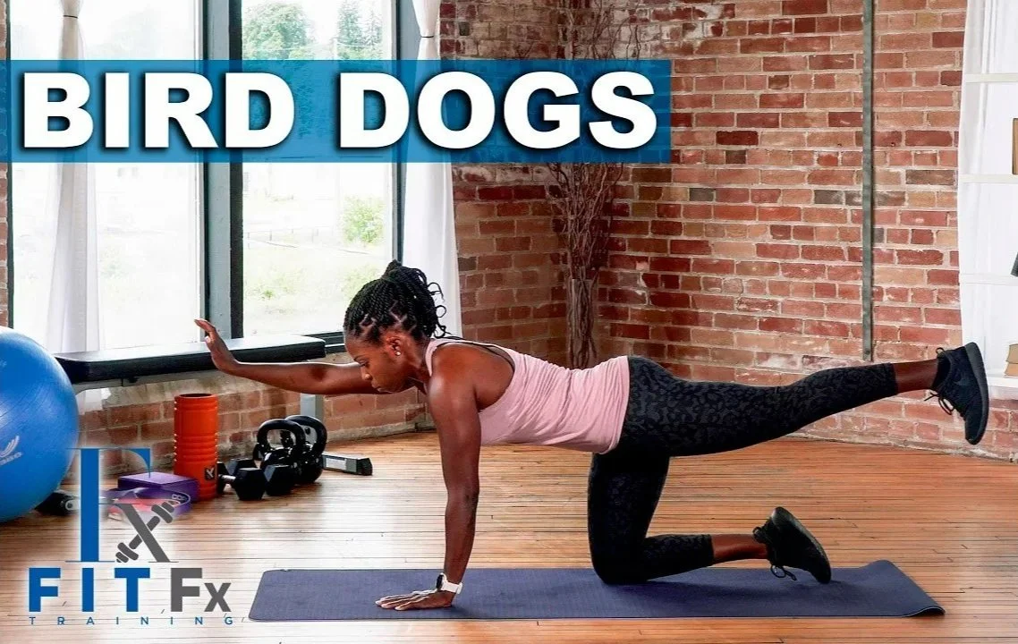 BIRD DOGS