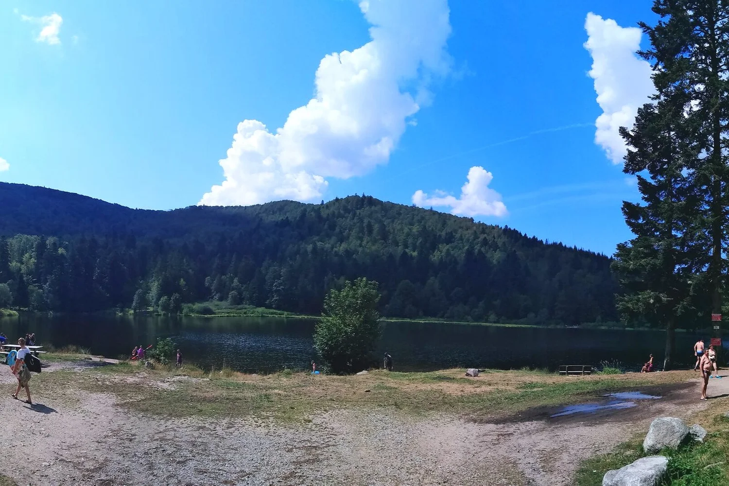 The Blue Line of the Vosges Mountains | Guide Collective