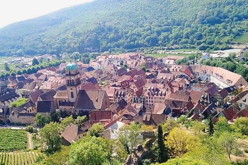 The Blue Line of the Vosges Mountains | Guide Collective