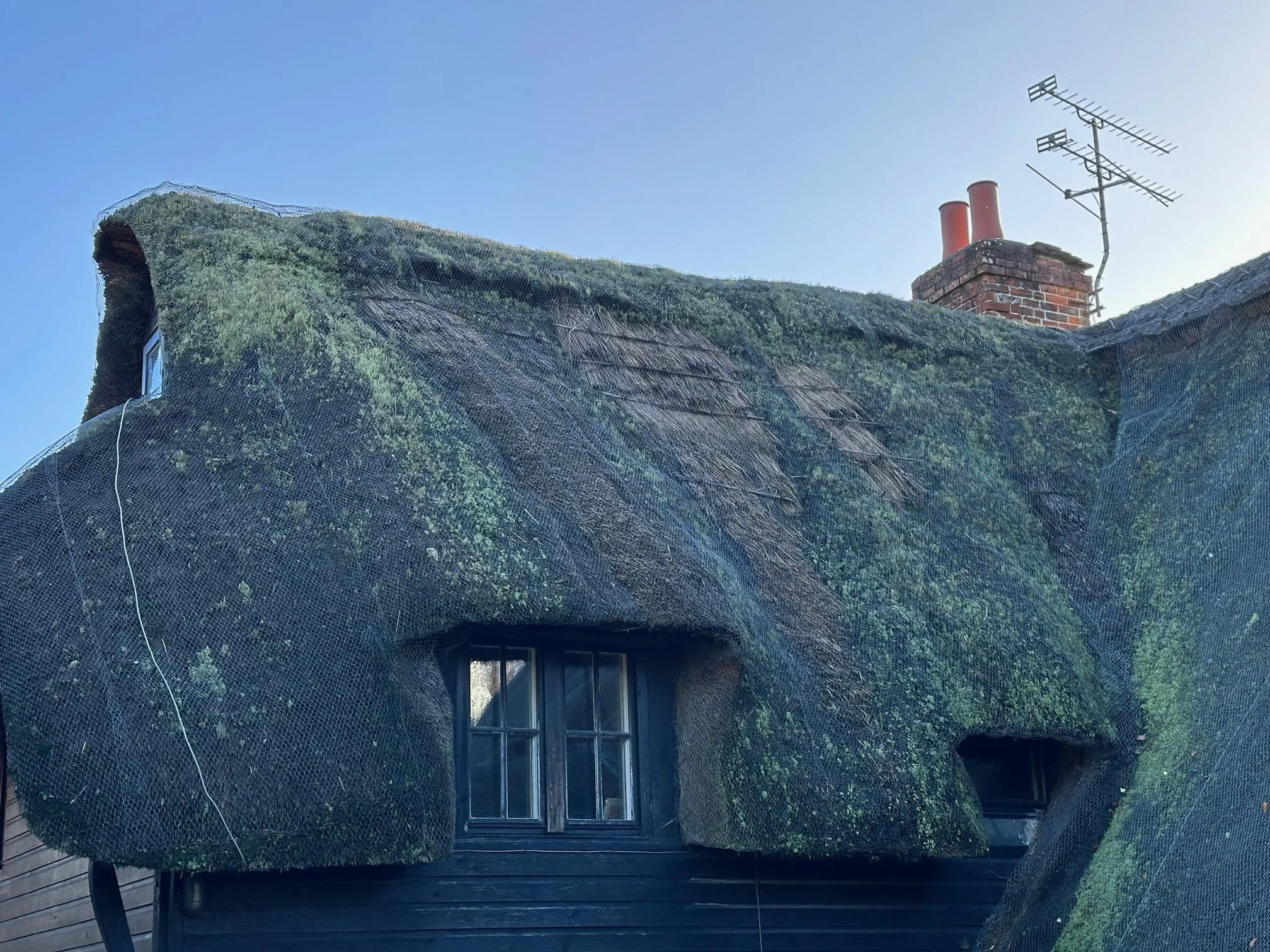 Living with a thatched roof — The OTTO HOUSE