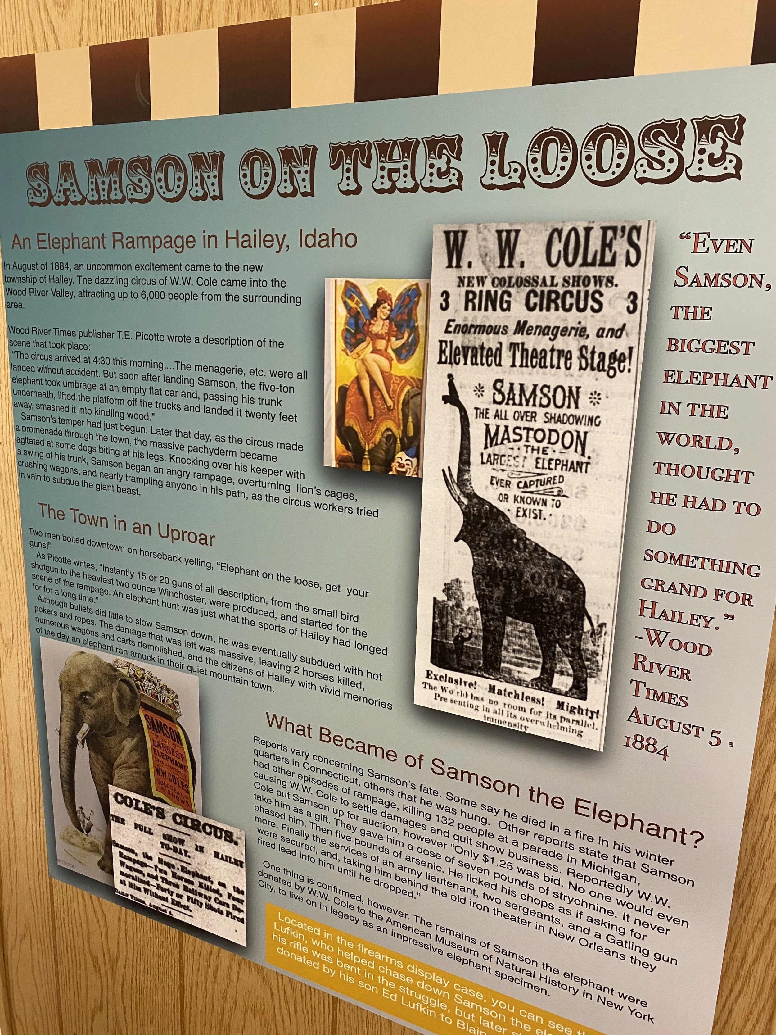 Samson the Elephant — Blaine County Historical Museum
