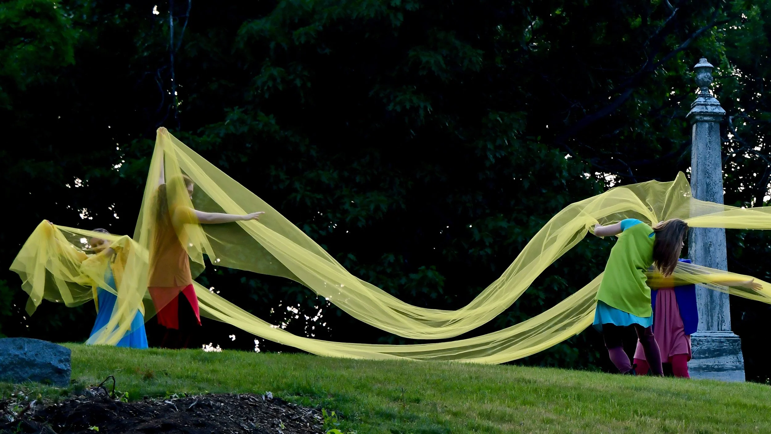 Wild Space Dance Company