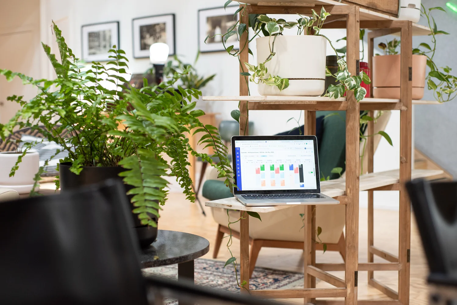 Halaxy Setup Support — The Psych Assistant