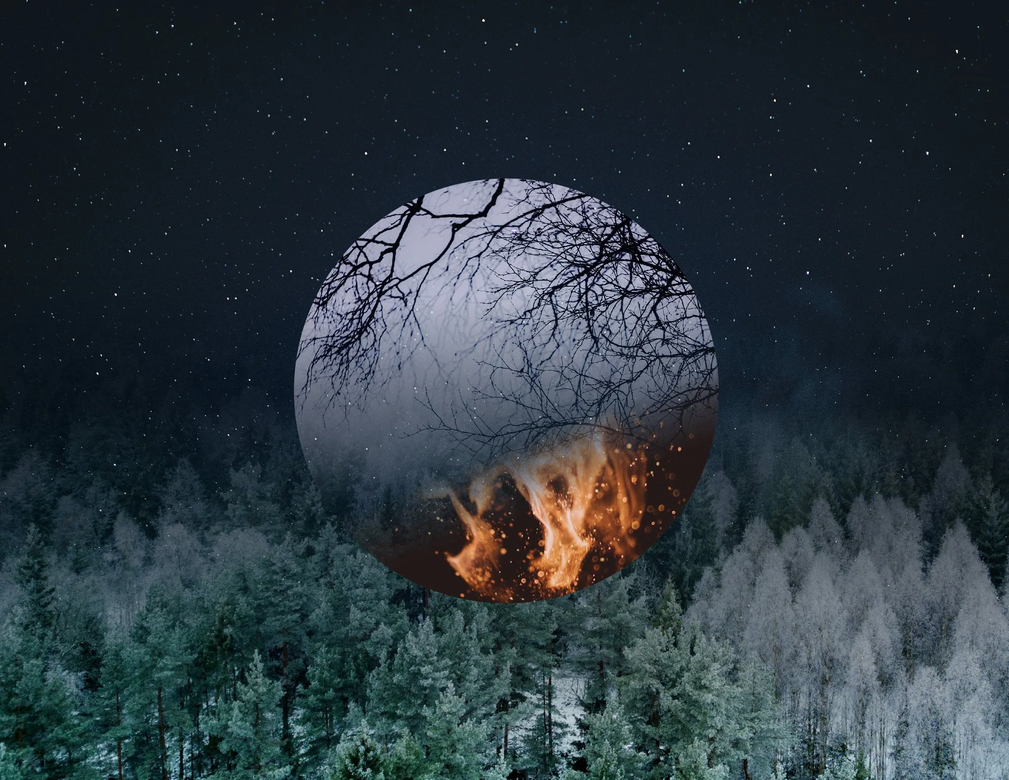 Program Overview — The Wolf Willow Institute