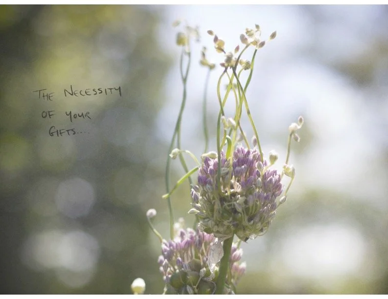 Gallery — The Wolf Willow Institute