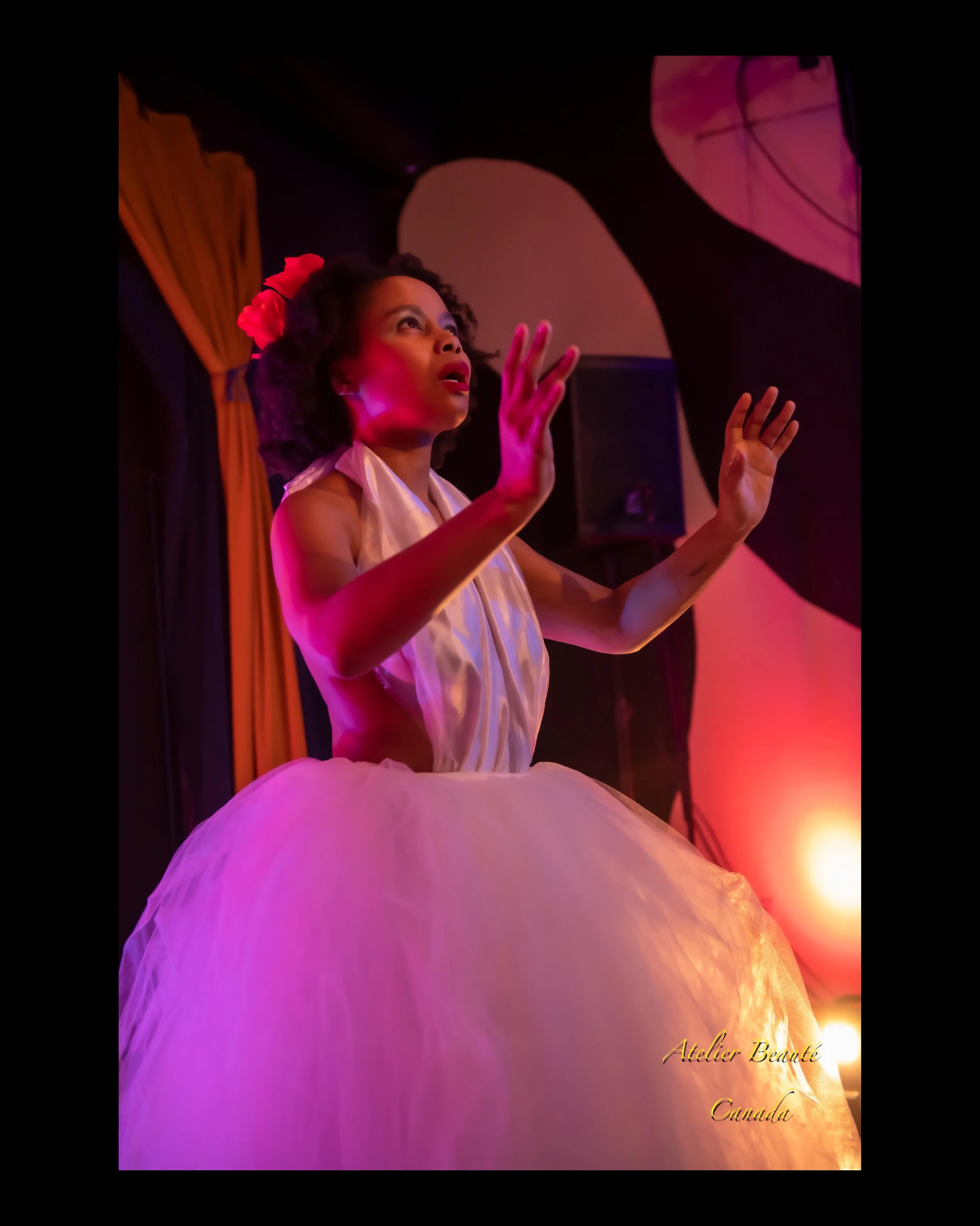 The Imaginarium — The Wolf Willow Institute