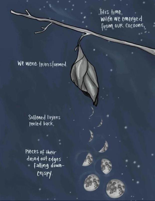 Gallery — The Wolf Willow Institute