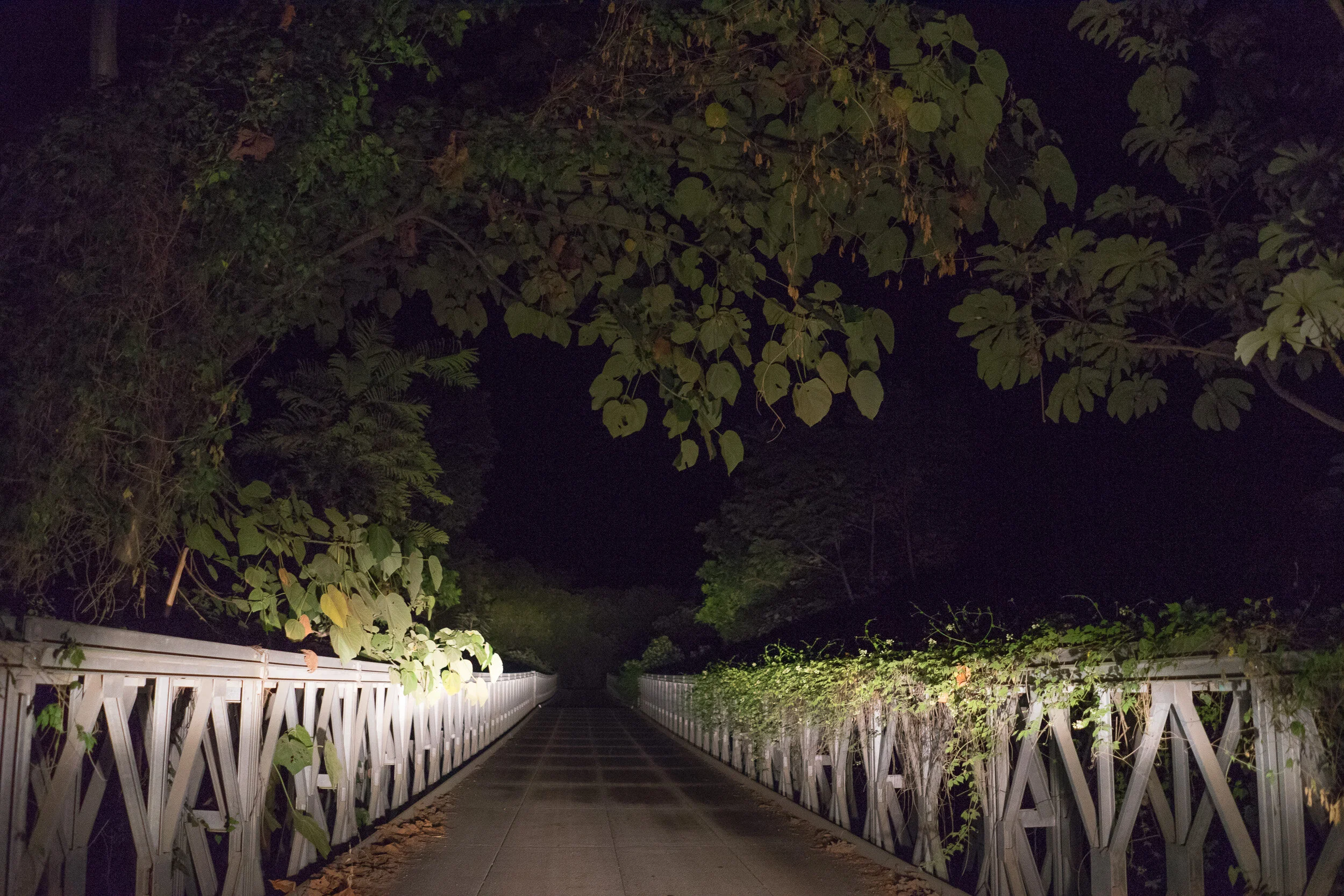 Re:Birth is a photographic series by Michelle Yee — Michelle Yee