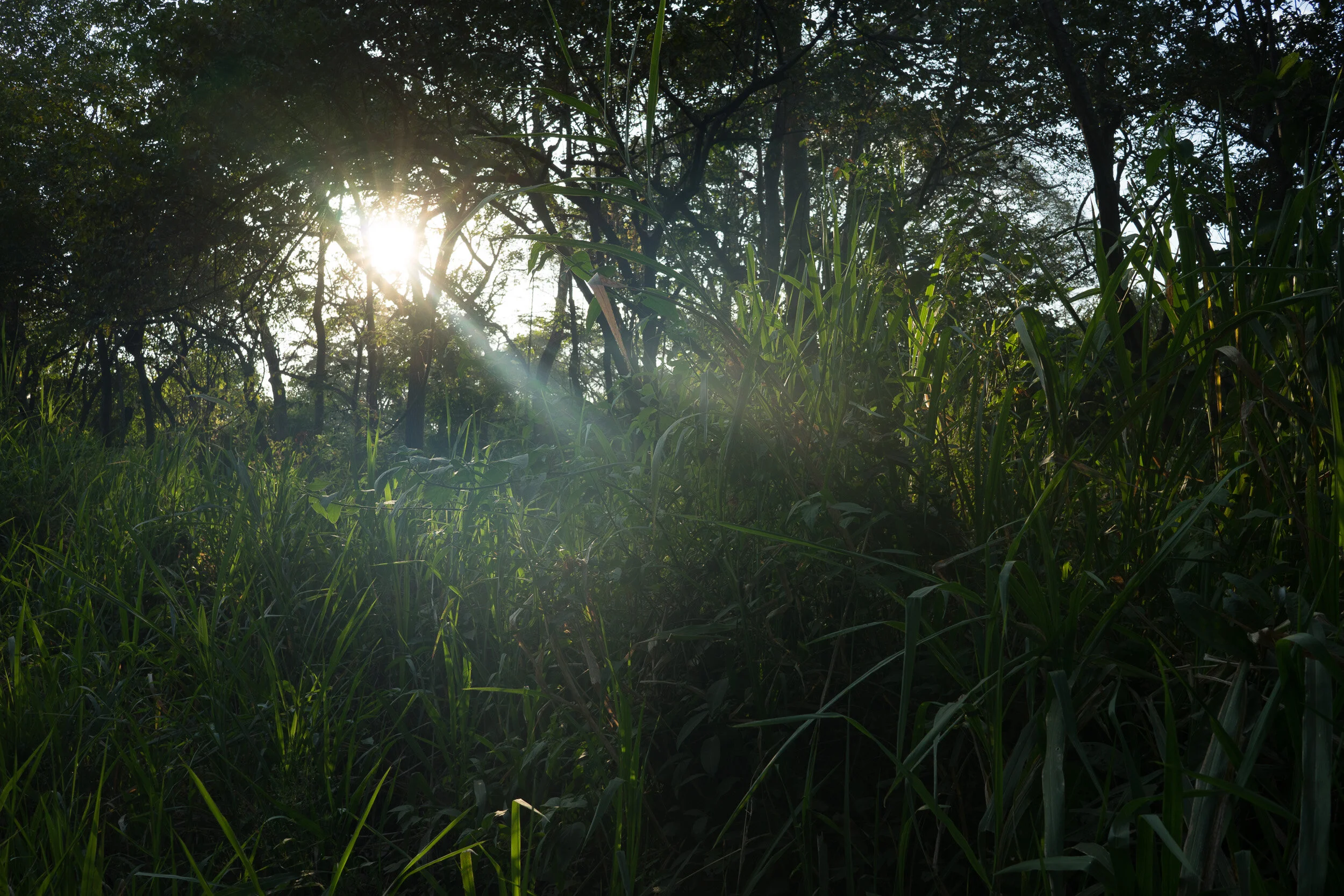 Re:Birth is a photographic series by Michelle Yee — Michelle Yee