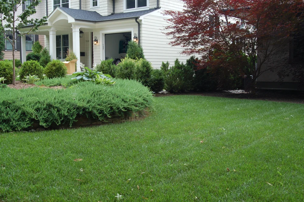 Pineapple Landscaping LLC