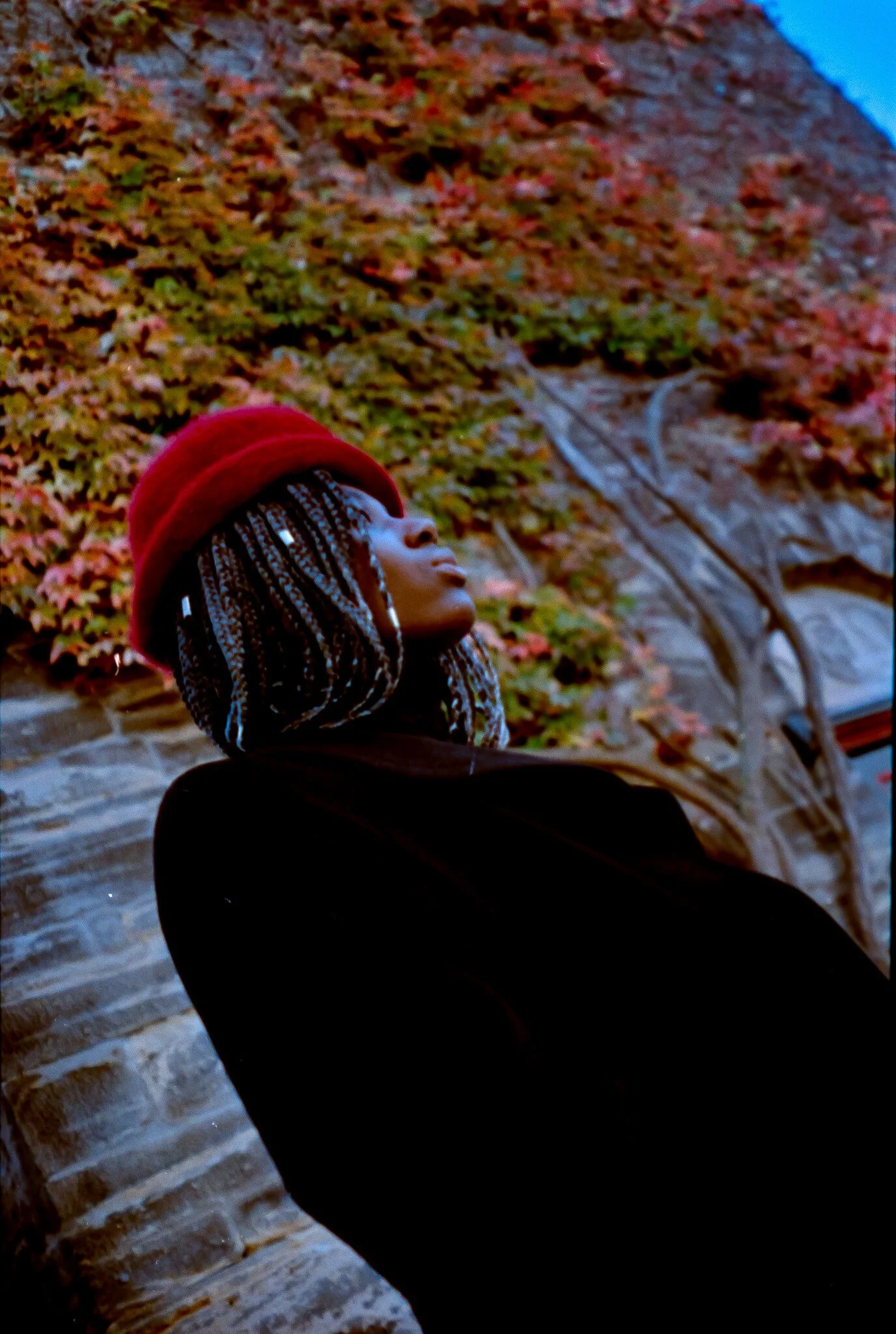 Photo Diary: "Queen of Dark Roses" By Kristina Maria — The Luna Collective