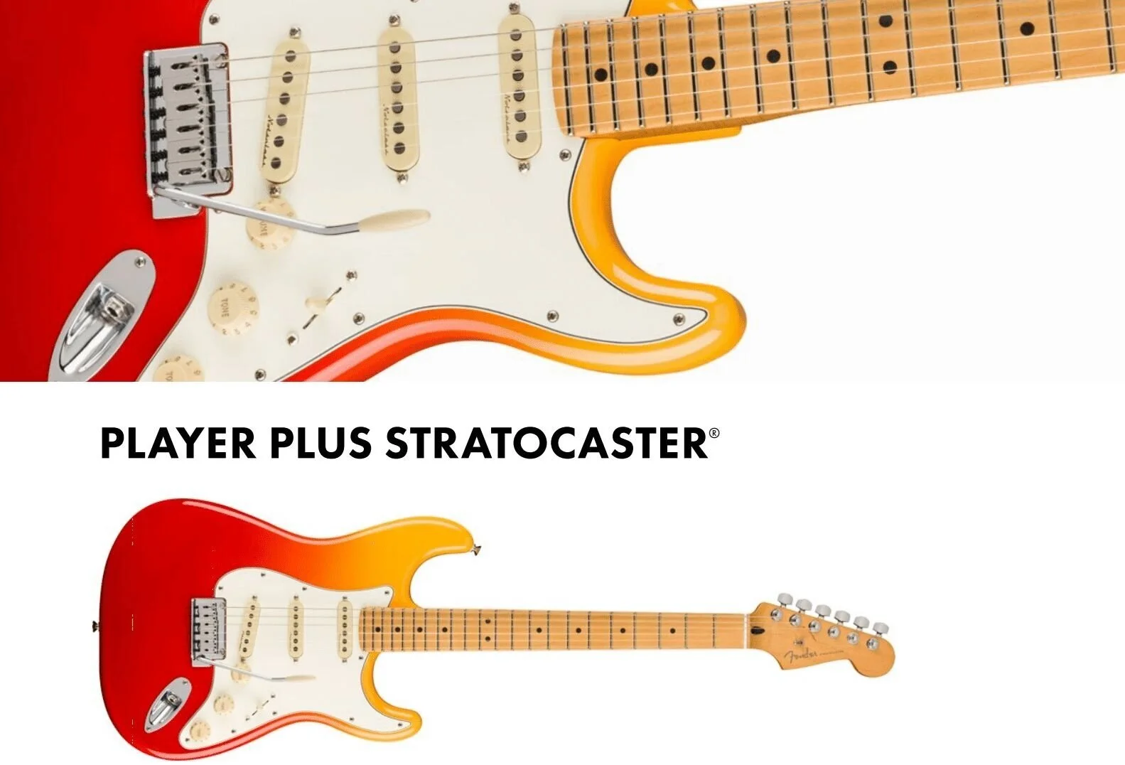 Fender Expands Player Plus Series — The Luna Collective