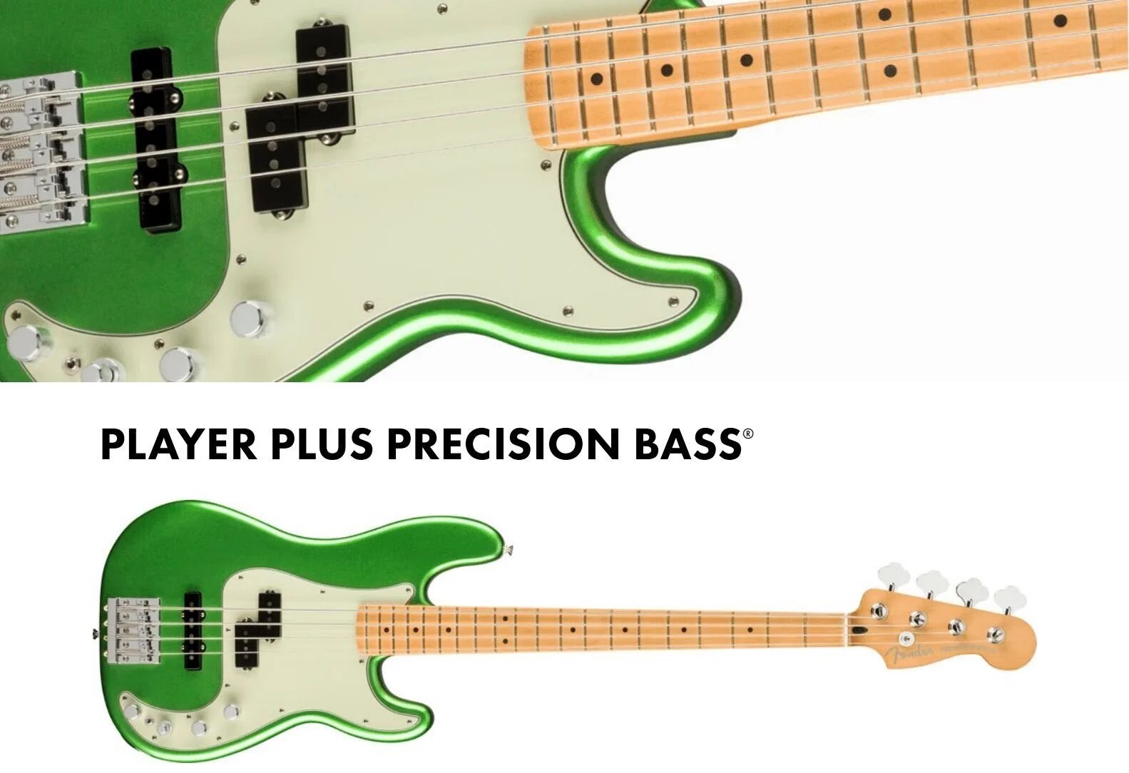 Fender Expands Player Plus Series — The Luna Collective