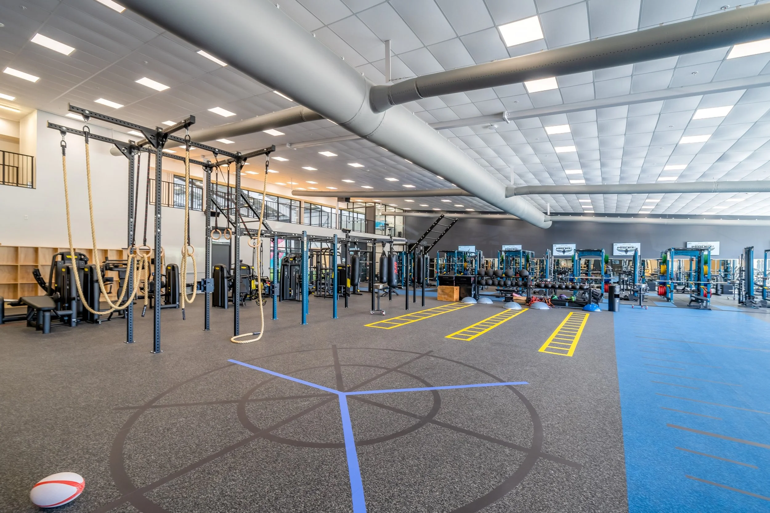 NZCIS Performance Institute — HDT