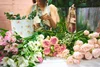 Bloomin Flowers - Flowers for all occasions