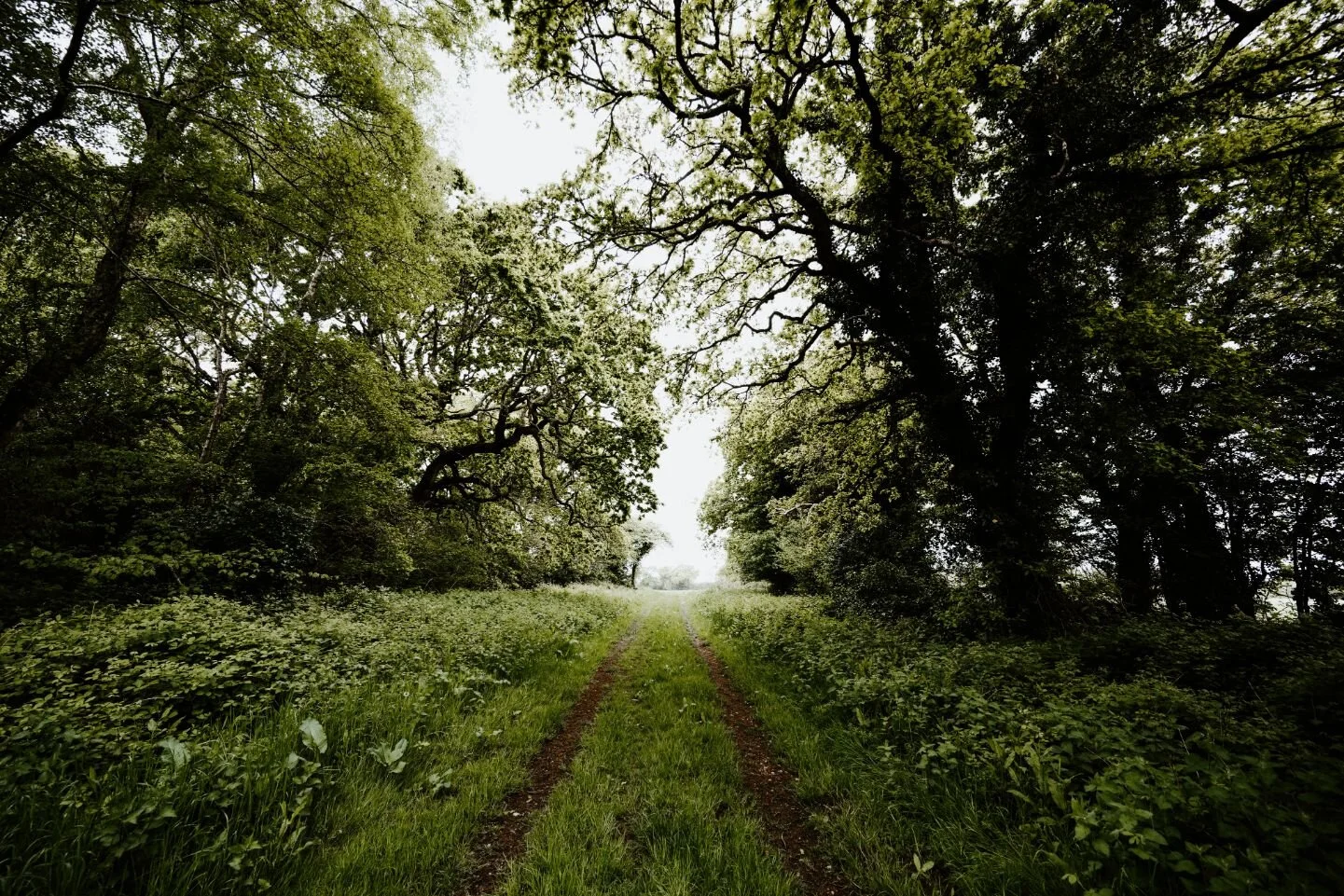 Farmers Forum — Chew Valley Plants Trees