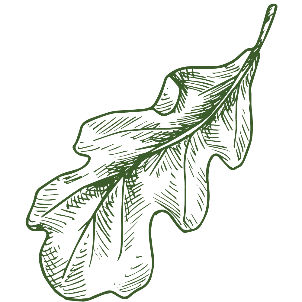 Chew Valley Plants Trees