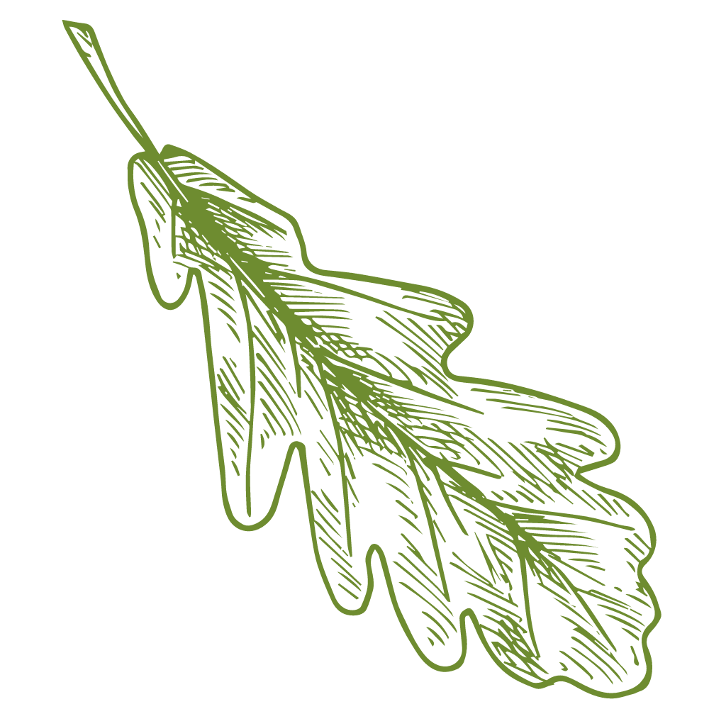 Chew Valley Plants Trees