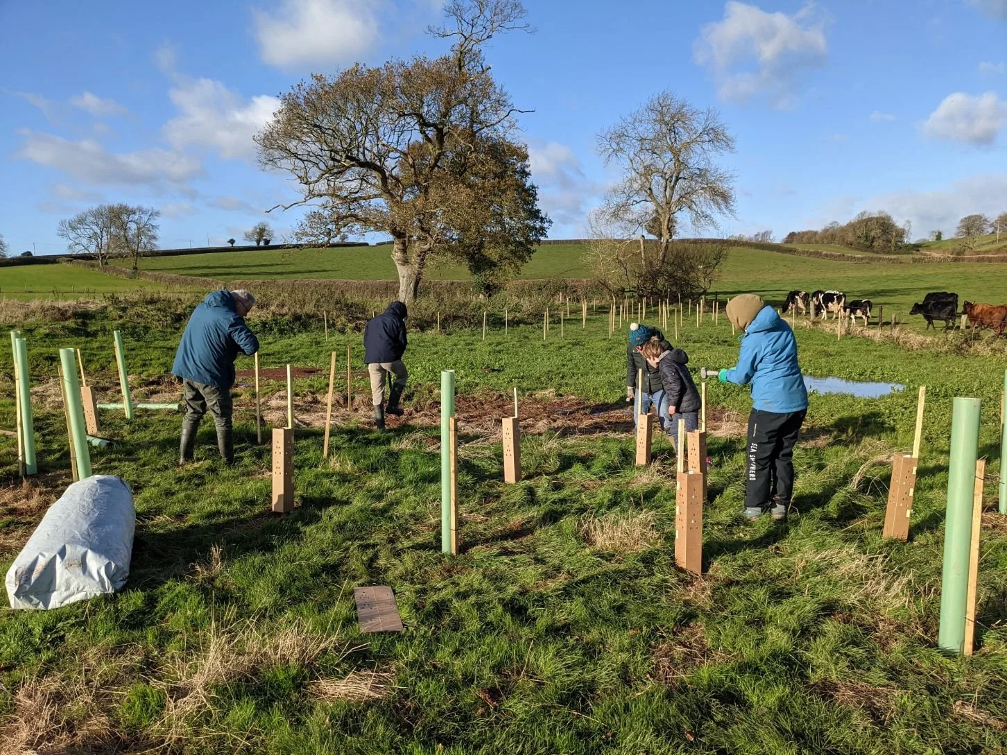 Tree Planting — Chew Valley Plants Trees