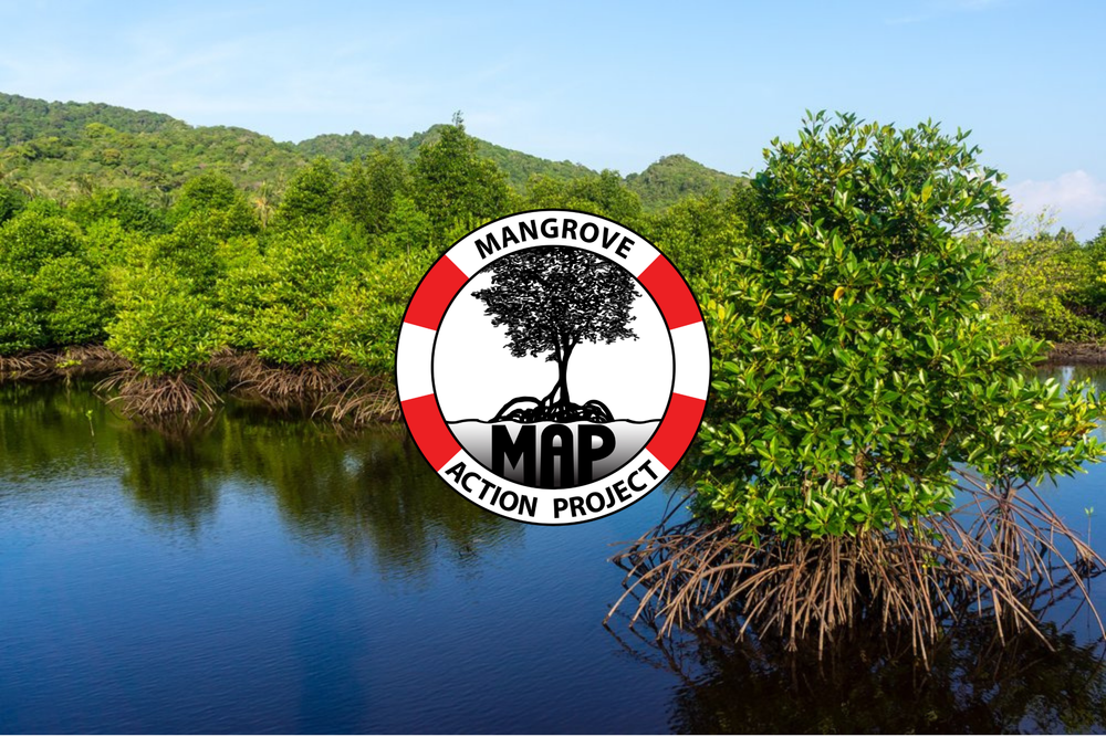 Mangrove Action Project (MAP) — SALZWASSER e.V.