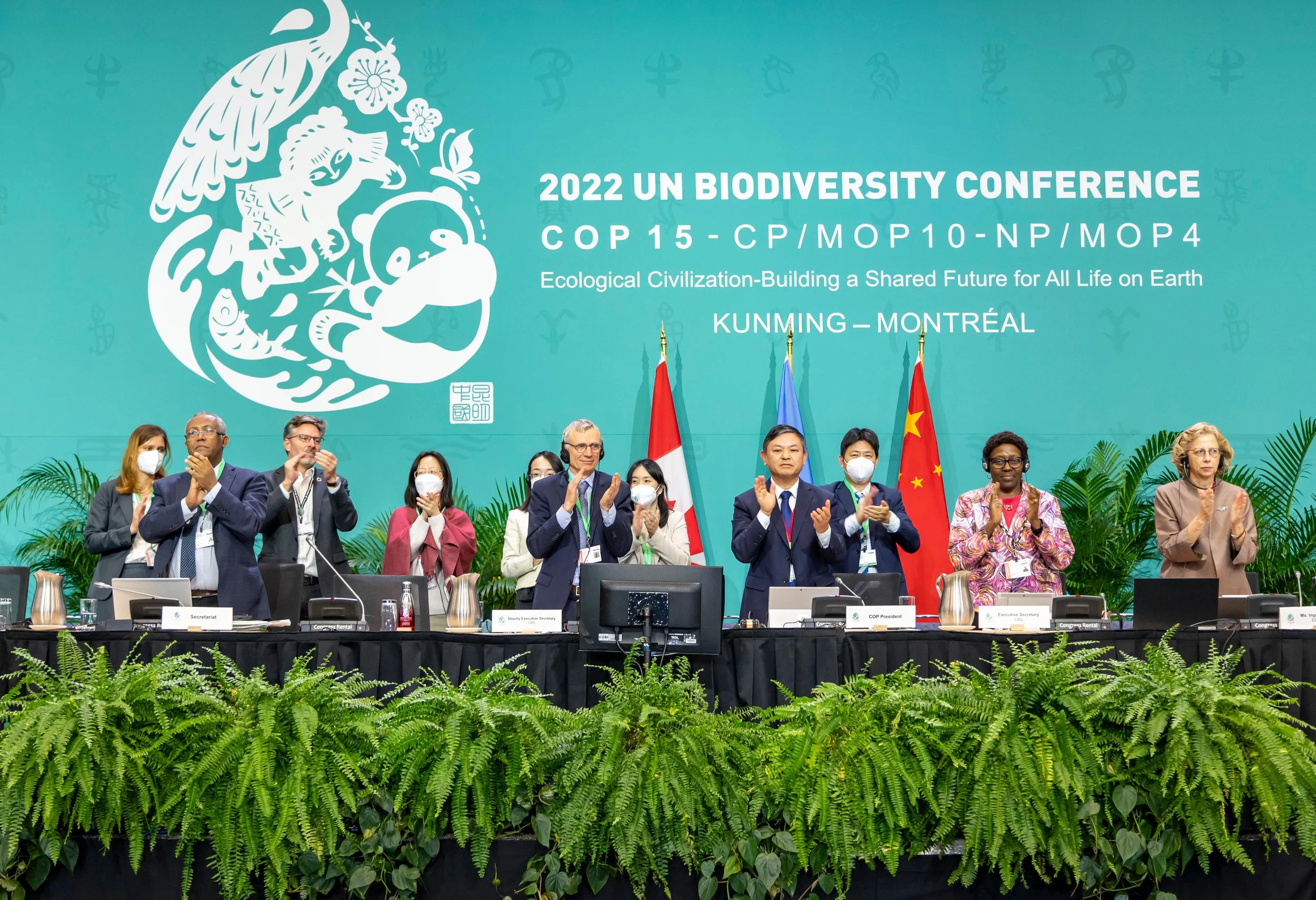 COP15 Ergebnisse Ziele Der Biodiversit tskonferenz Der UN