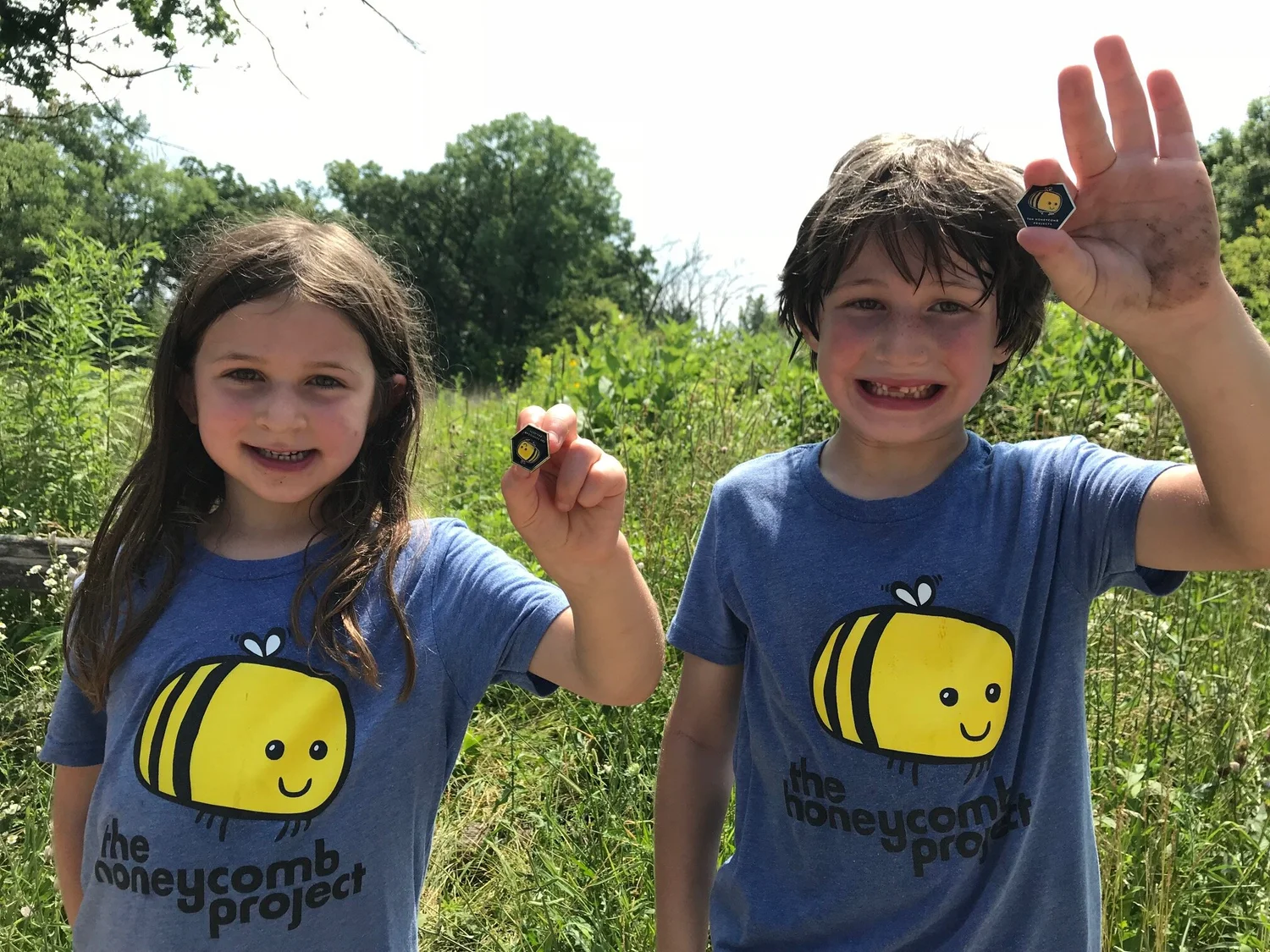 About Us — The Honeycomb Project