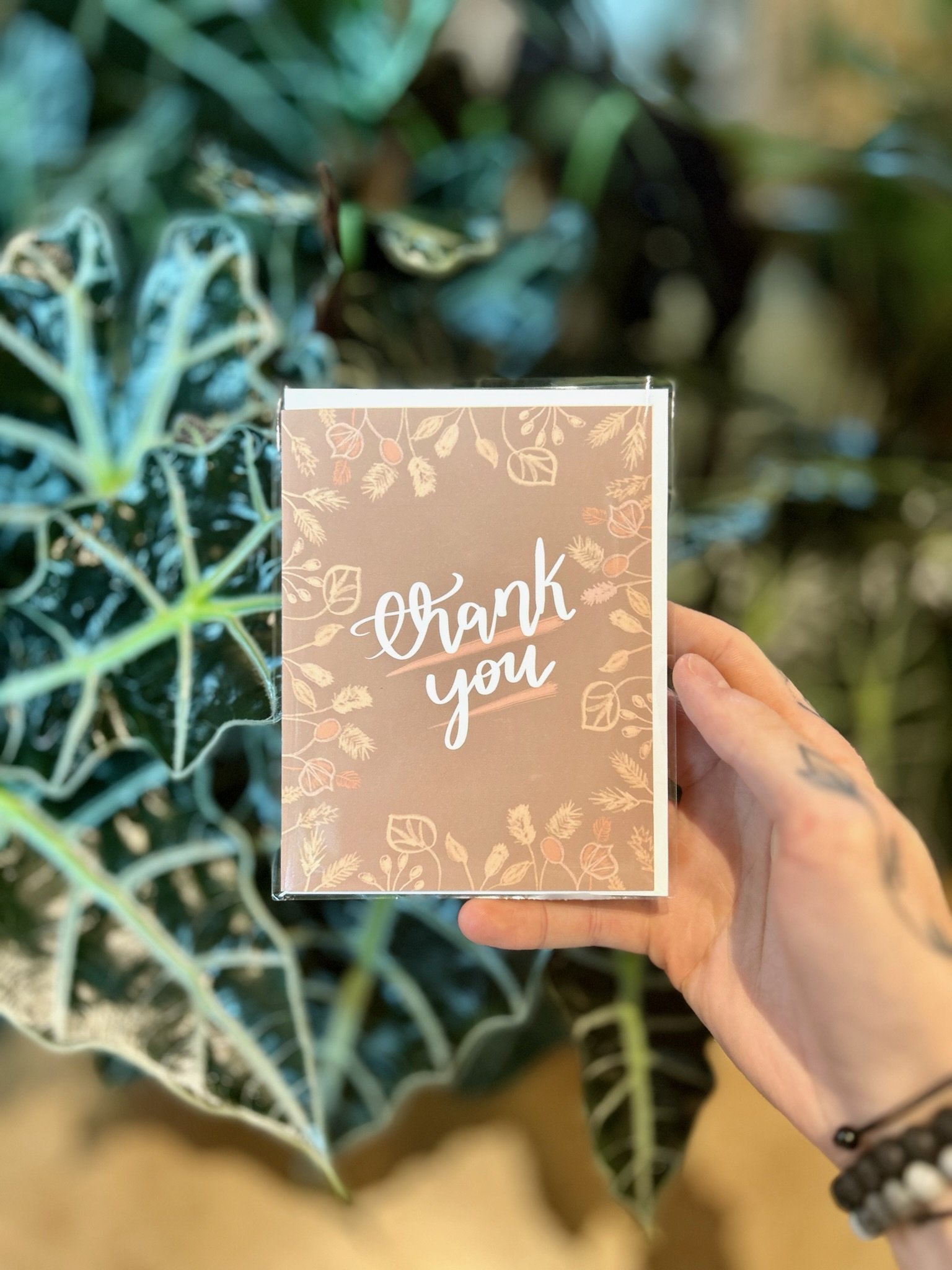 Build Your Own Succulent Kit — The Succulent Shop