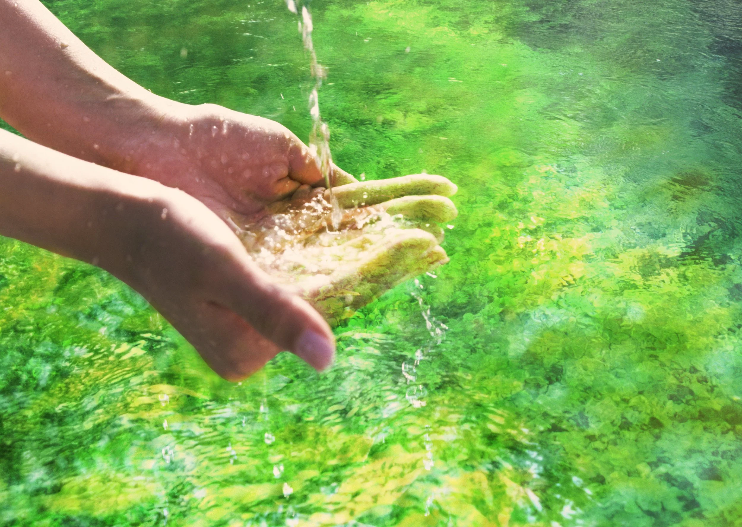 Our Core Principles — Transformations Community