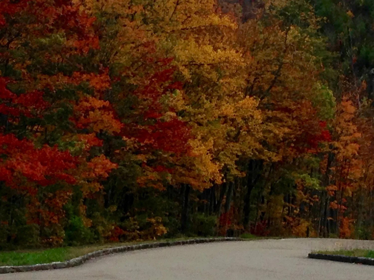 A Deliberate Fall Rest — Author Margie Harding