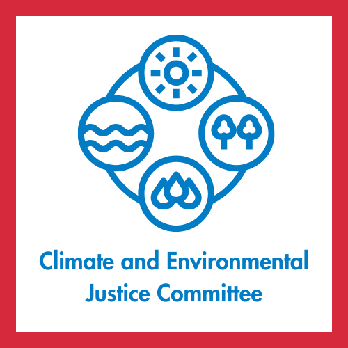 Committees — Chicago Women Take Action