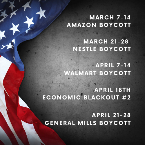 Economic Boycotts — Chicago Women Take Action