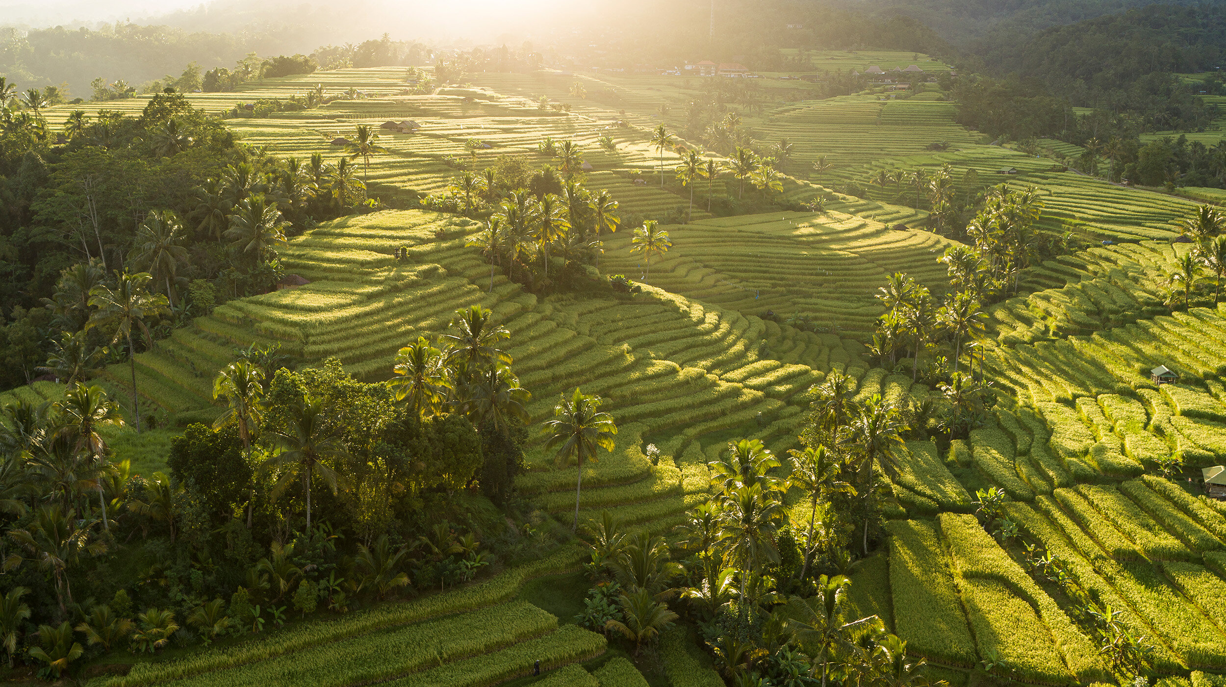 Aerial Photographer — WILL PRYCE