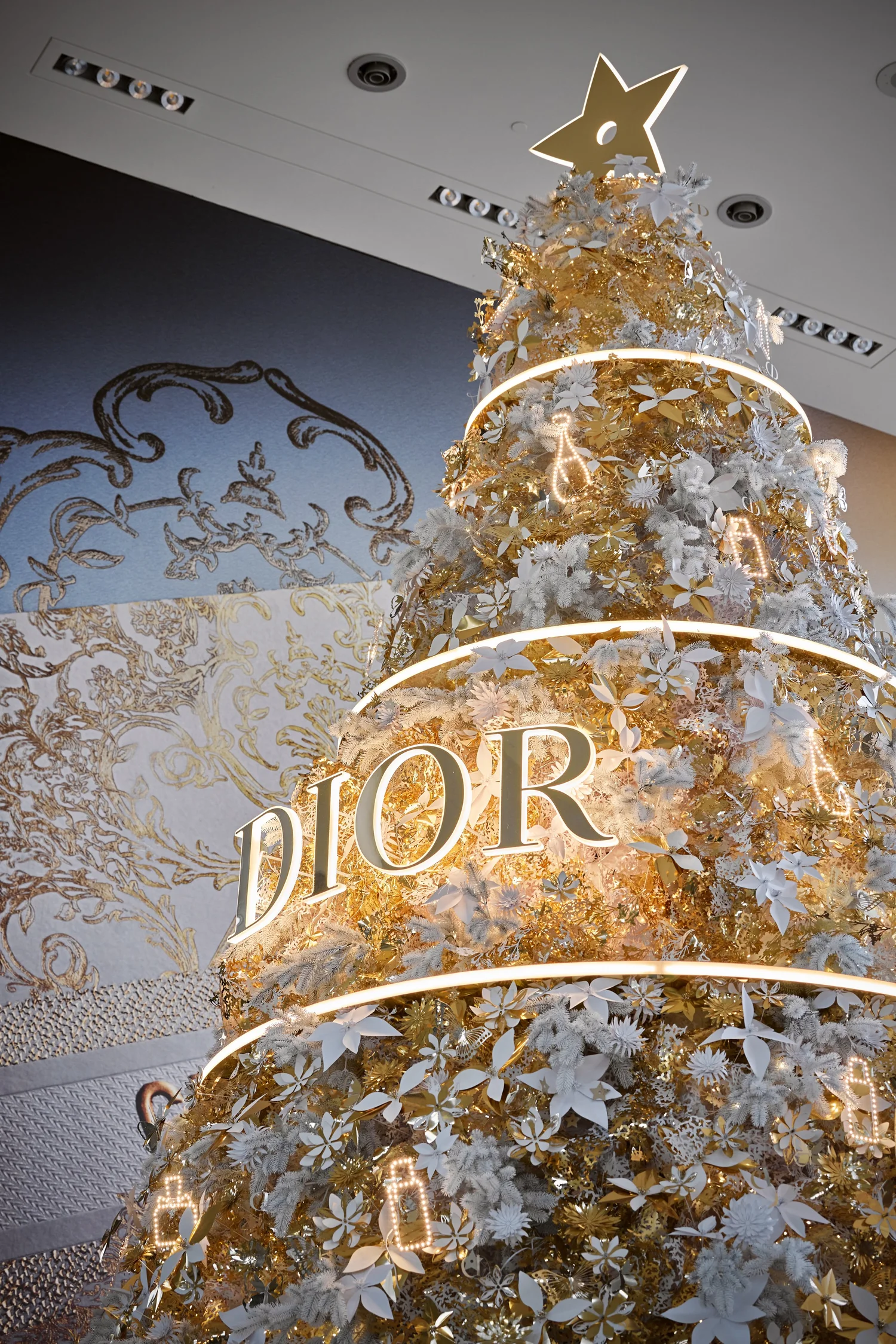 Dior — Park Creative Studio