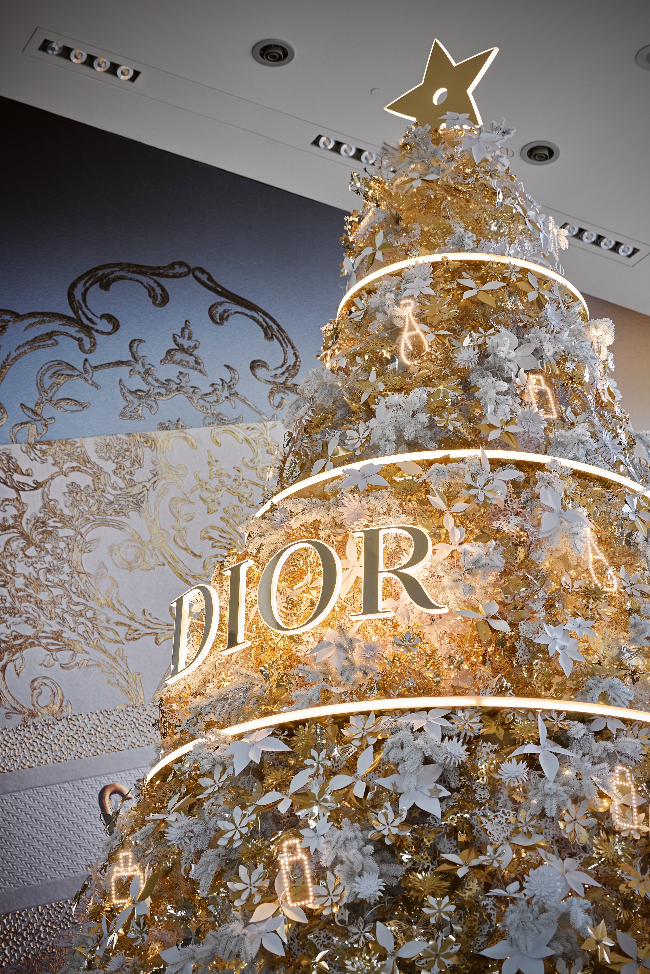 Dior — Park Creative Studio