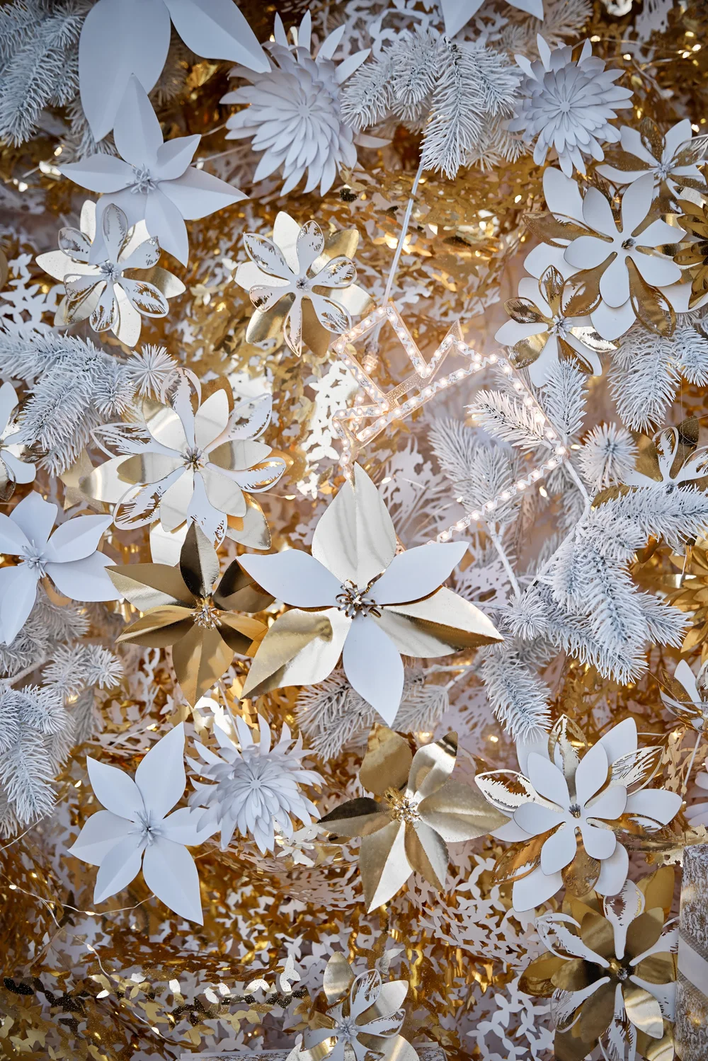 Dior — Park Creative Studio