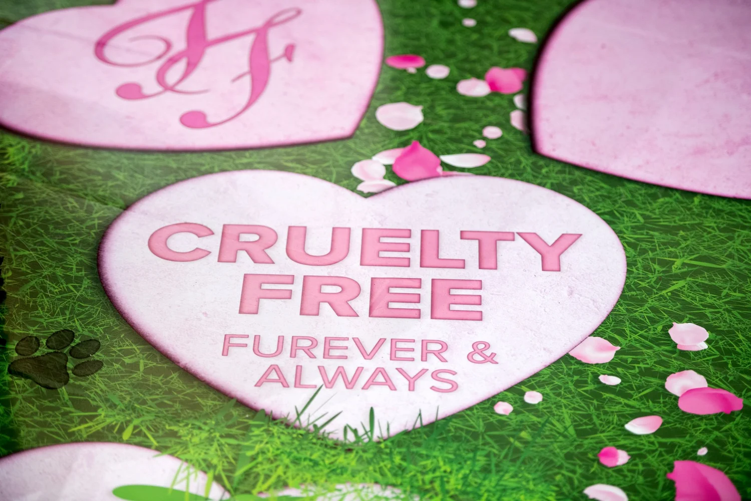 Too Faced — Park Creative Studio
