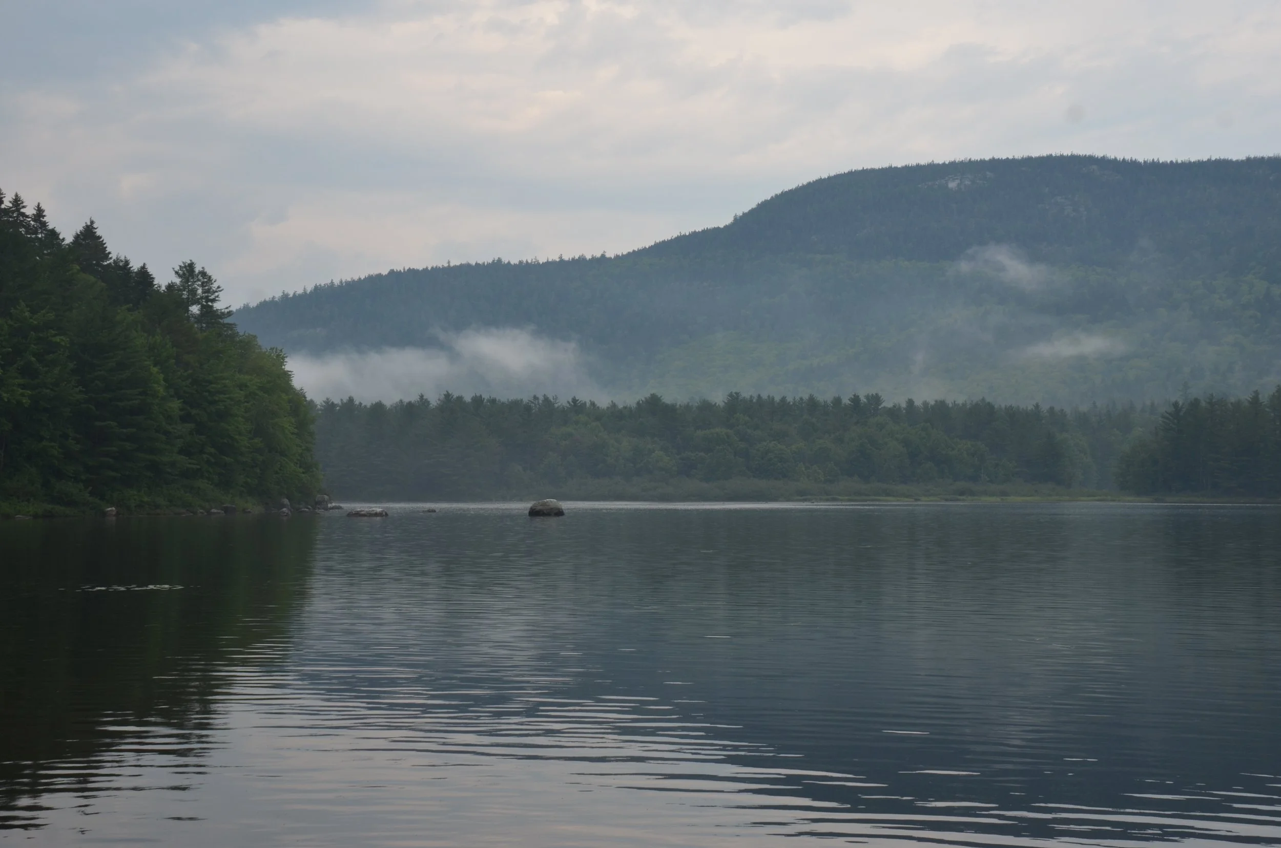 Careers — NAMI Maine